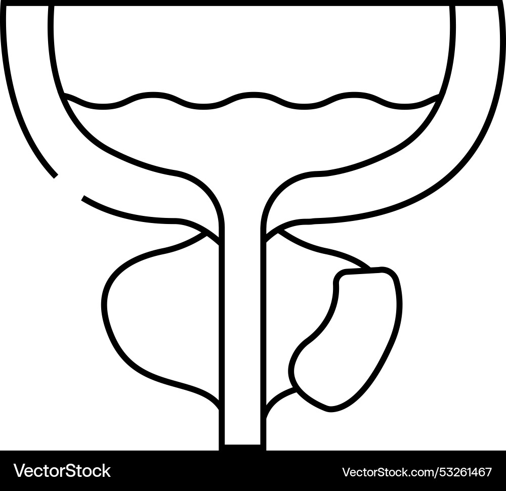 Prostate cancer line icon Royalty Free Vector Image
