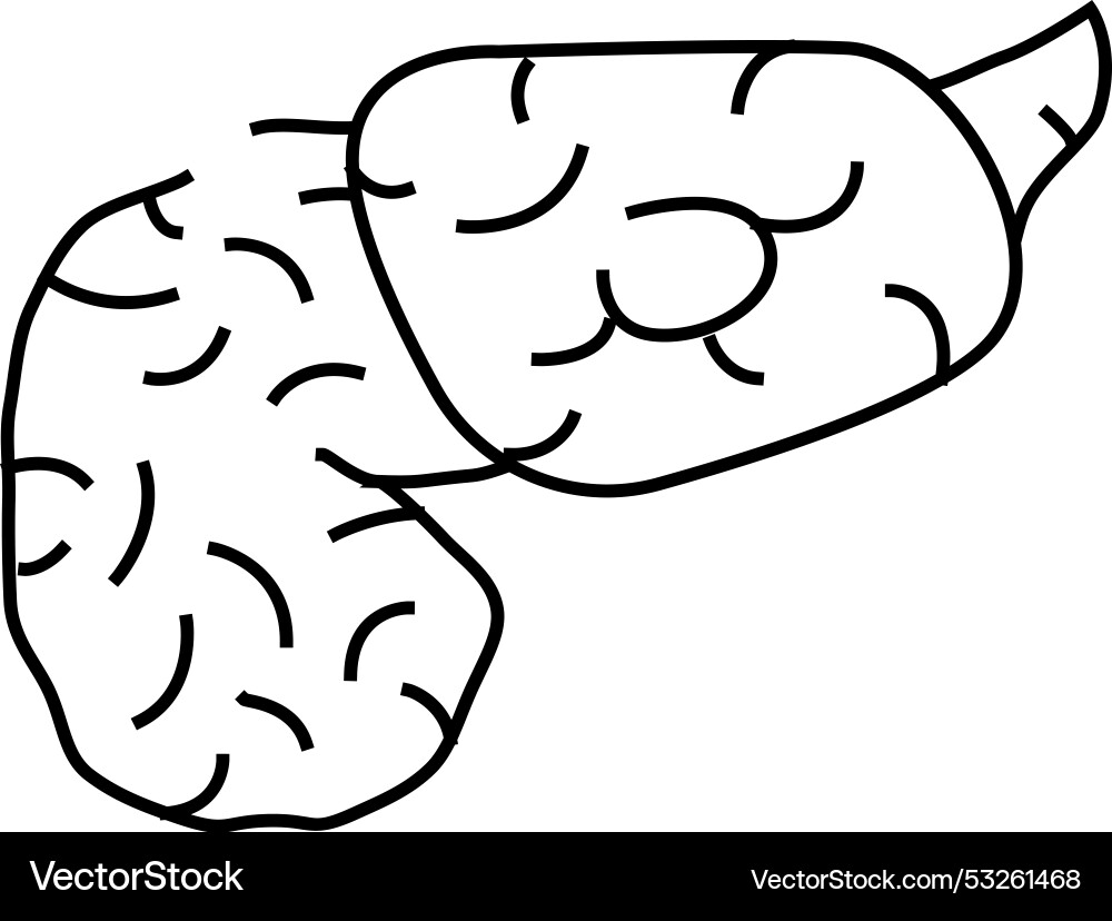 Pancreatic cancer line icon Royalty Free Vector Image
