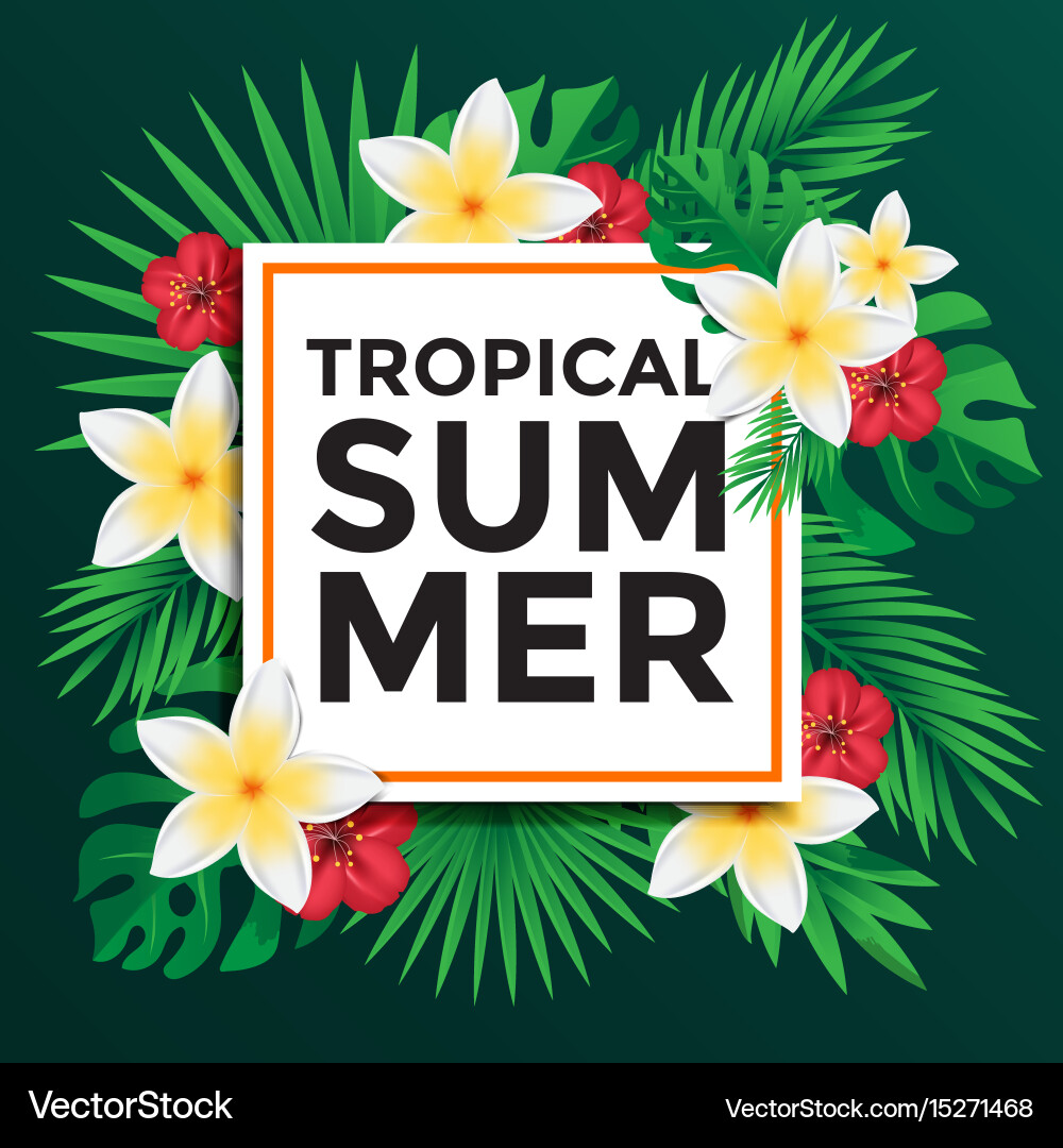 Tropical poster 3 Royalty Free Vector Image - VectorStock