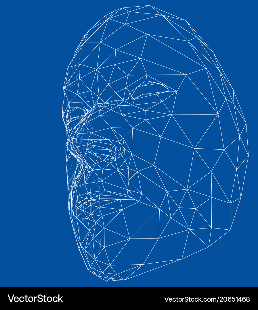 Wire-frame abstract human face Royalty Free Vector Image