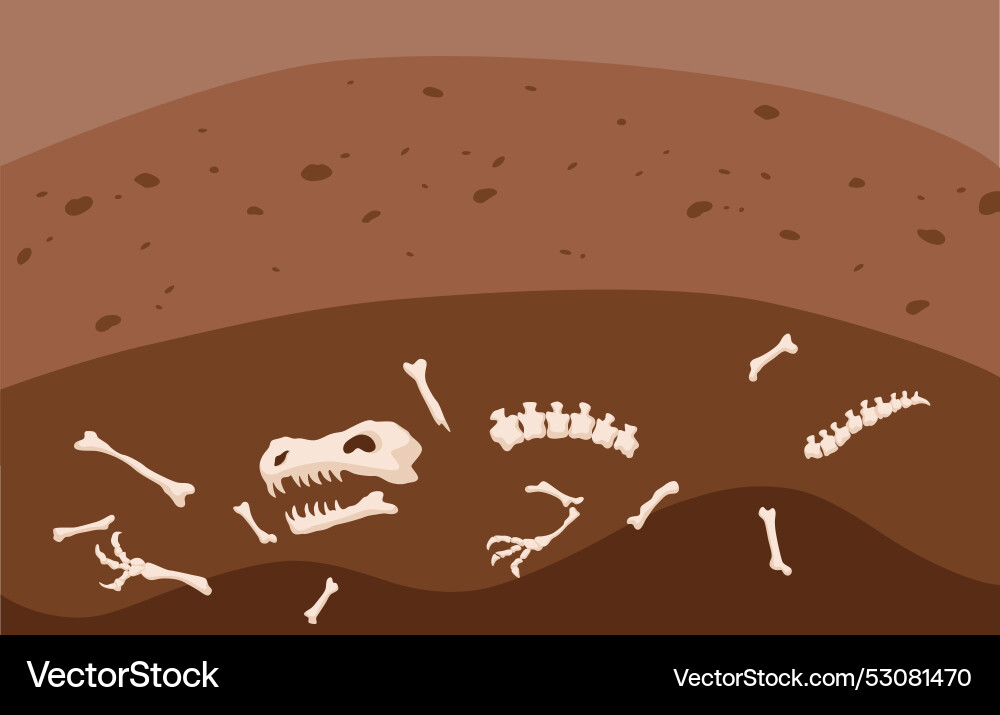 Carbon cycle soil layer part Royalty Free Vector Image