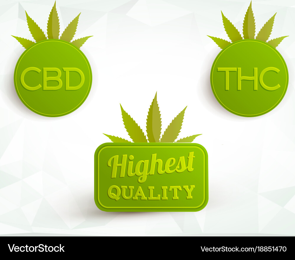 CBD & THC Logos - Premium Quality Royalty Free Vector