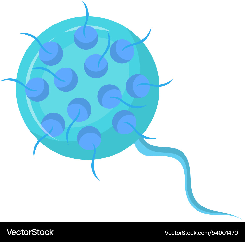 Chlamydia trachomatis bacteria showing elementary Vector Image
