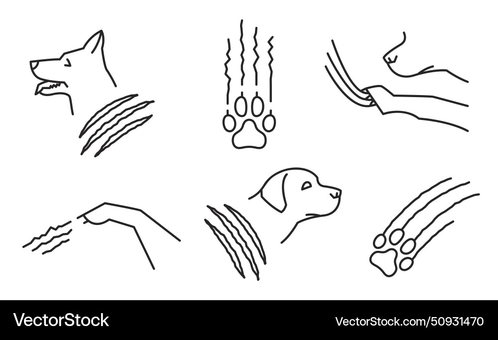 Dog scratch common pet behavior symbol excessive Vector Image