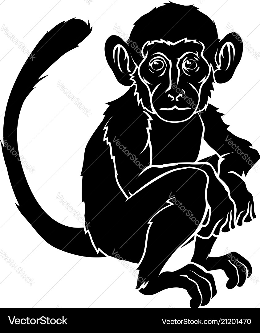 Stylized monkey Royalty Free Vector Image - VectorStock