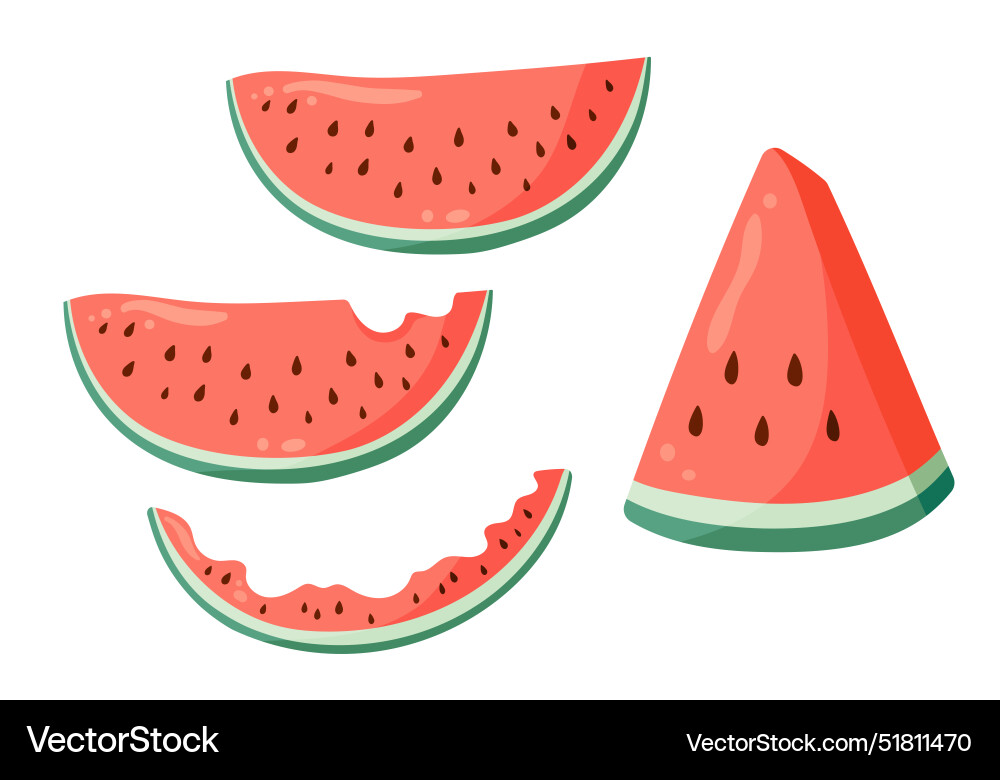 Watermelon slices set flat Royalty Free Vector Image