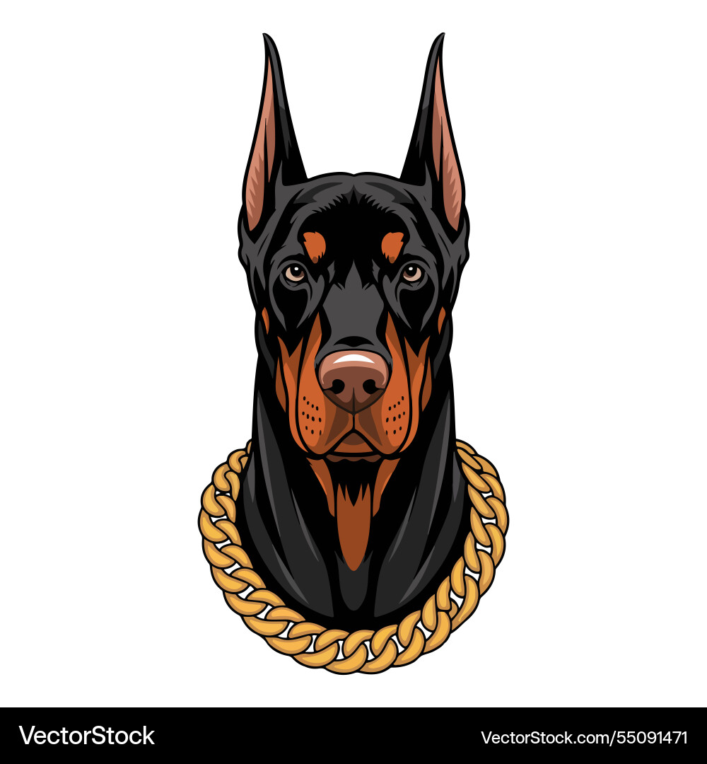 Doberman dog with gold chain art Royalty Free Vector Image