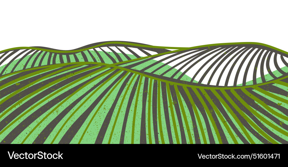 Farm field landscape on small hills furrows Vector Image