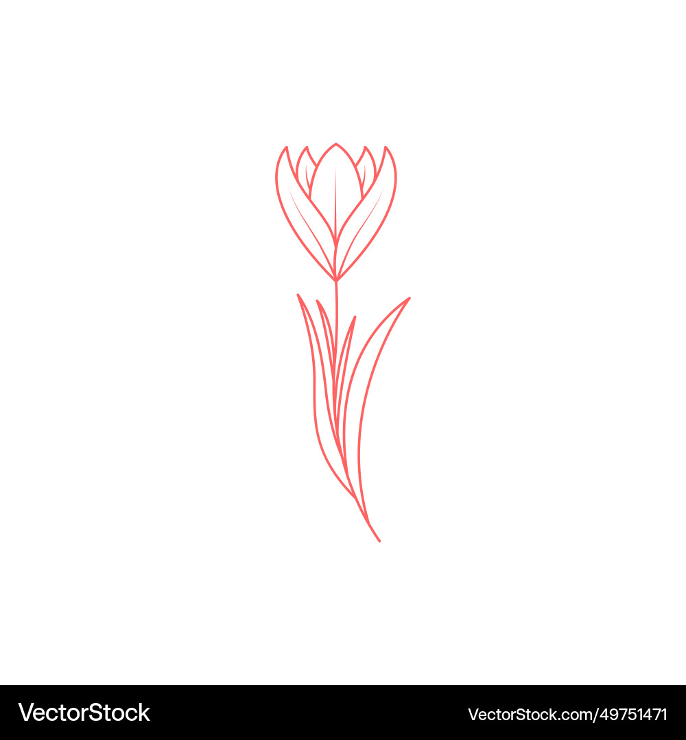 Feminine flower minimalist icon logo image Vector Image