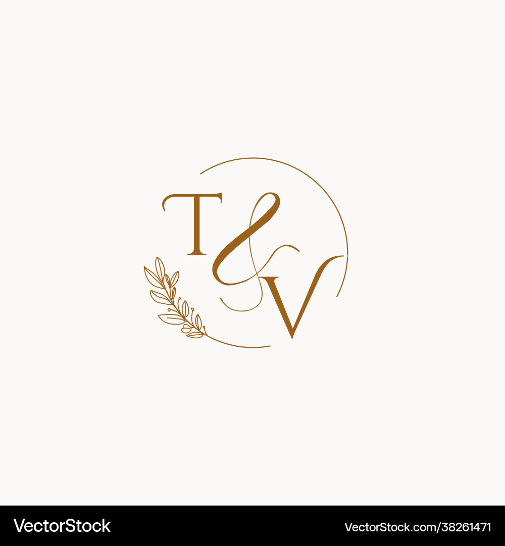 Tv initial wedding monogram logo Royalty Free Vector Image