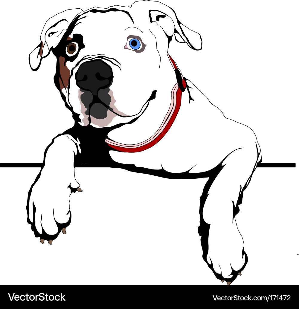 Adorable Bulldog Portrait Royalty Free Vector Image