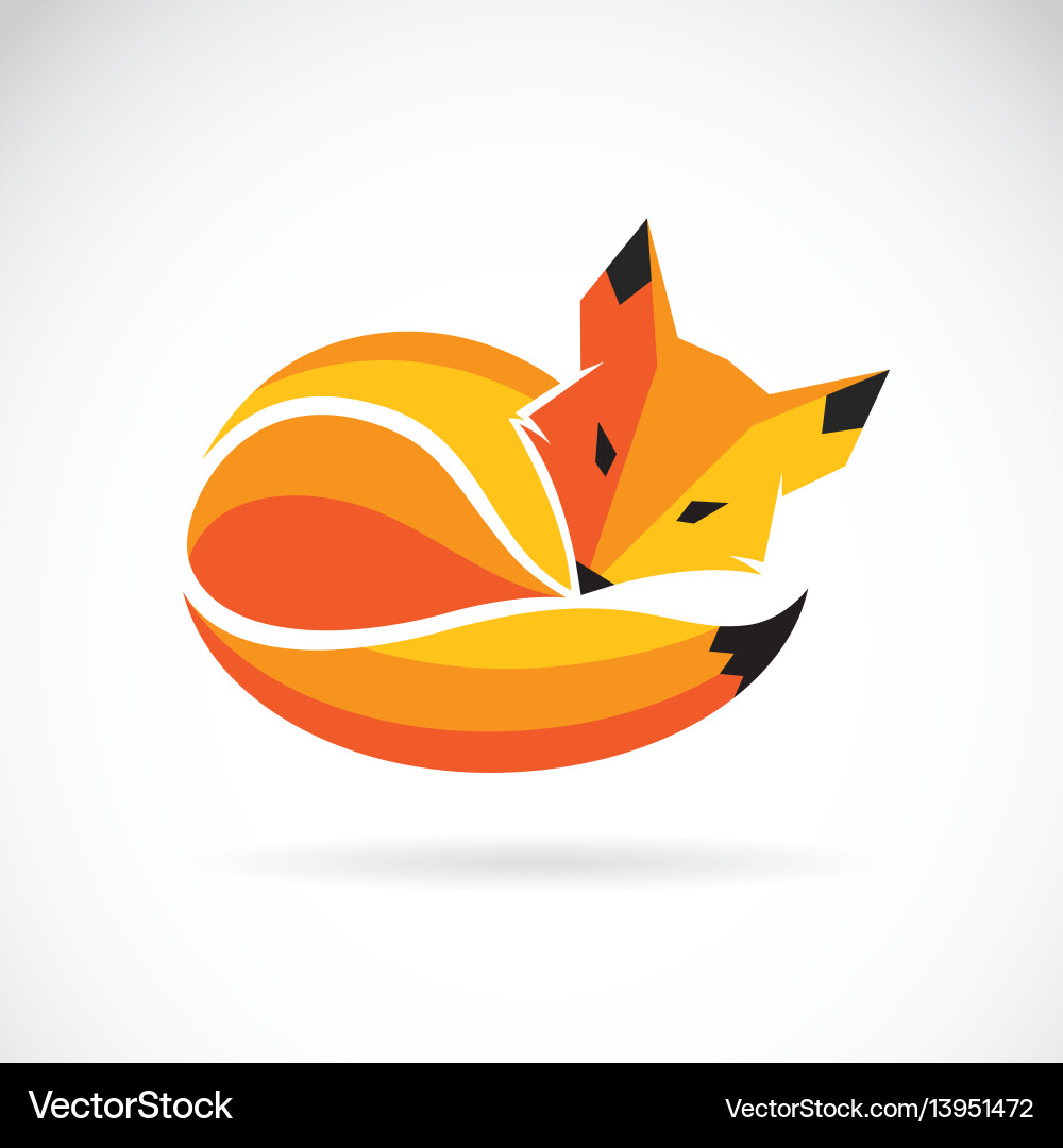 Fox design on a white background wild animals Vector Image
