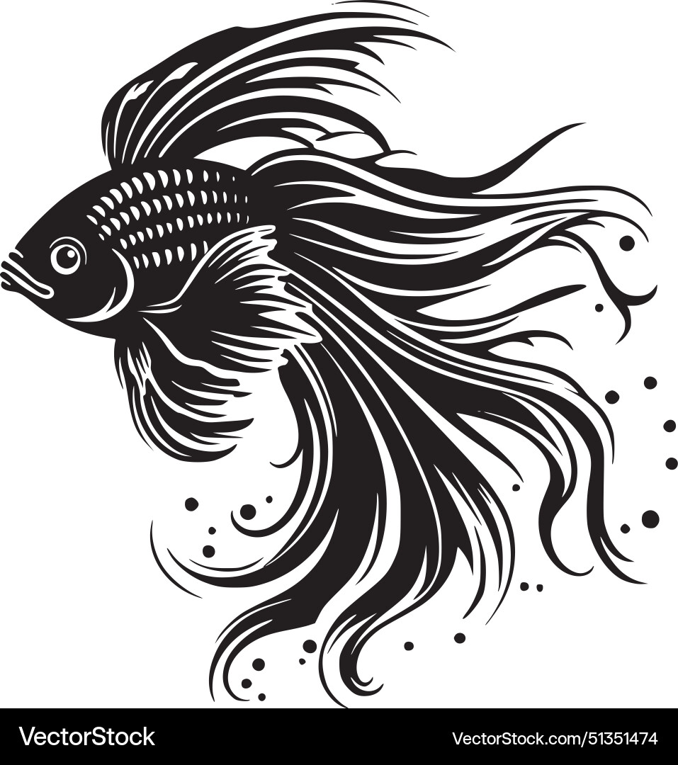 Betta fish - high quality logo ideal Royalty Free Vector