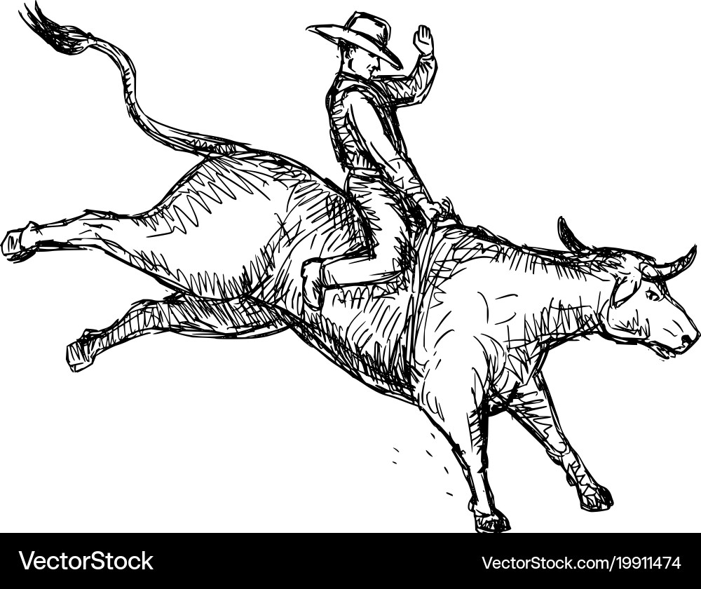 Bull riding rodeo cowboy drawing Royalty Free Vector Image