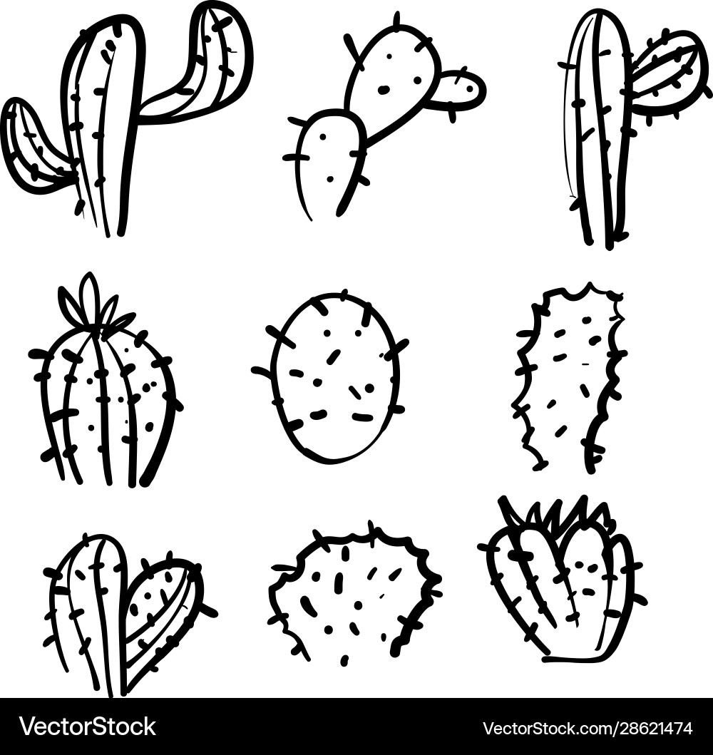 Doodle exotic cactuses plants summer desert Vector Image