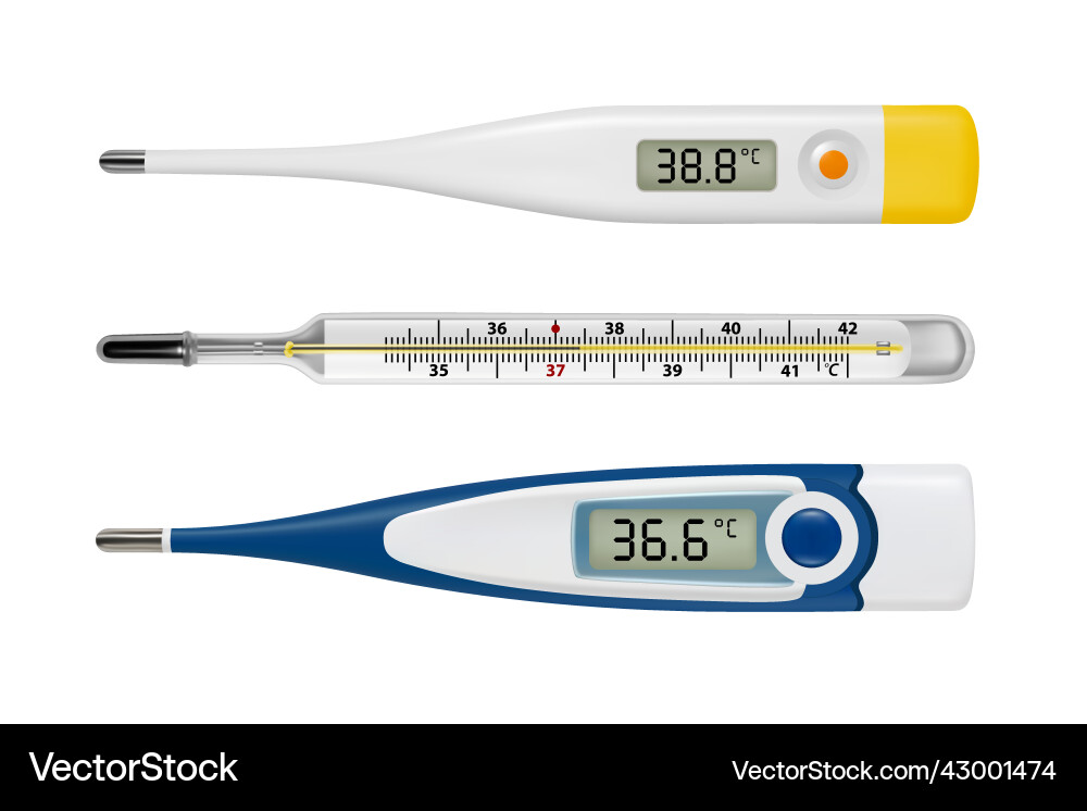 Electronic thermometer Royalty Free Vector Image