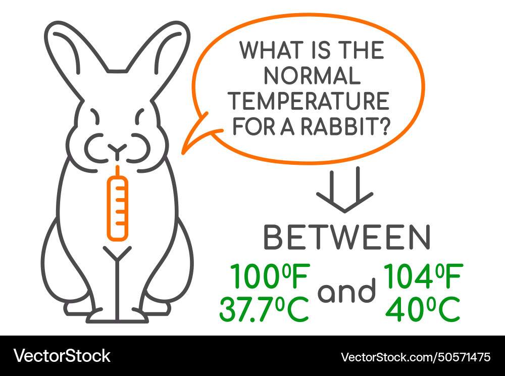Normal temperature for a rabbit medical Royalty Free Vector