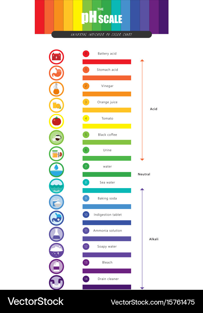 Ph Scale Universal Indicator The PH Scale KS3 Activate Lesson