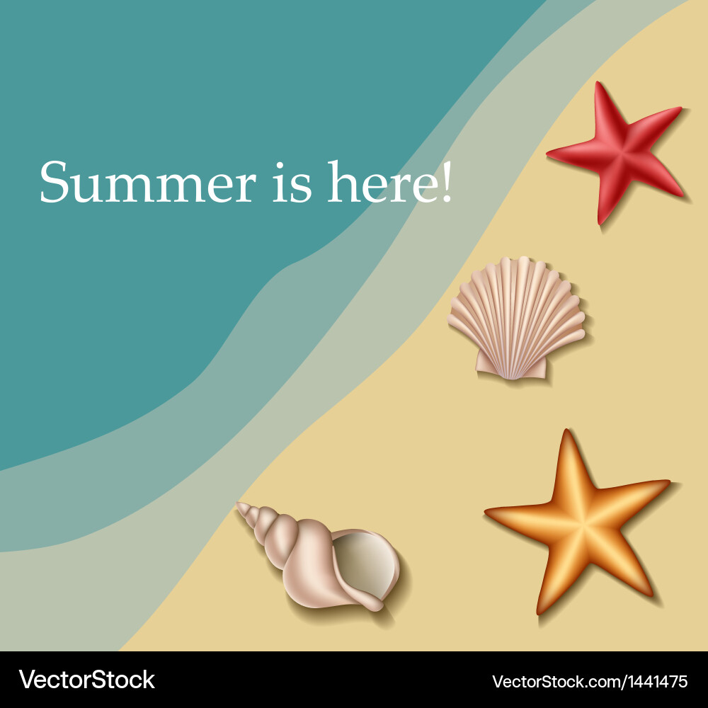 Sea text frame with shells and stars Royalty Free Vector