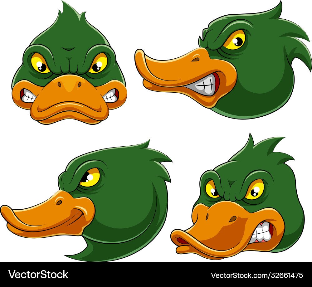 Mad Duck Vector Images (71)