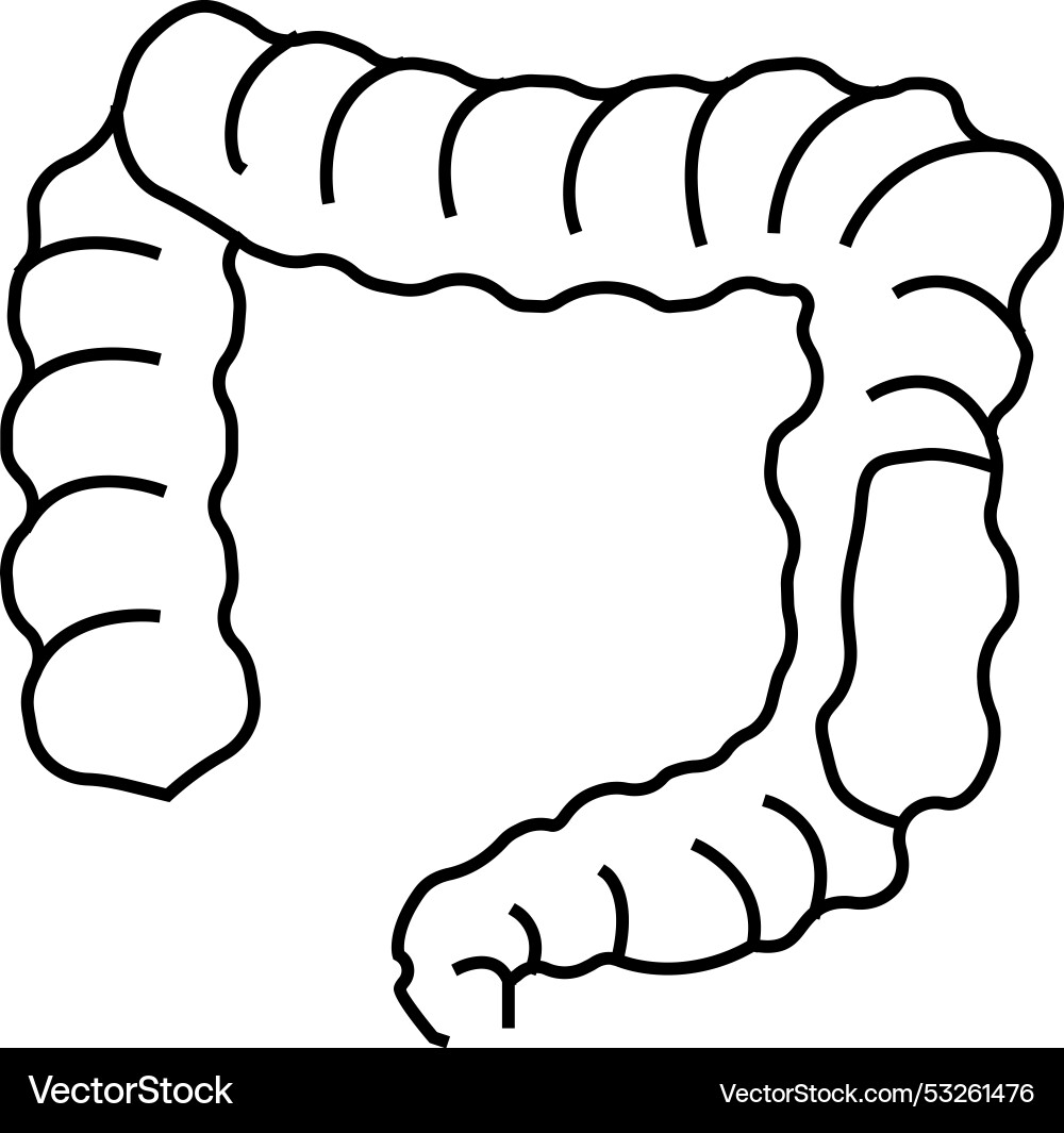 Colon rectal cancer line icon Royalty Free Vector Image