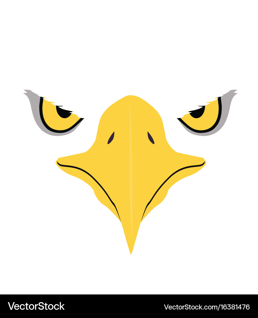 Eagle eyes front face graphic Royalty Free Vector Image
