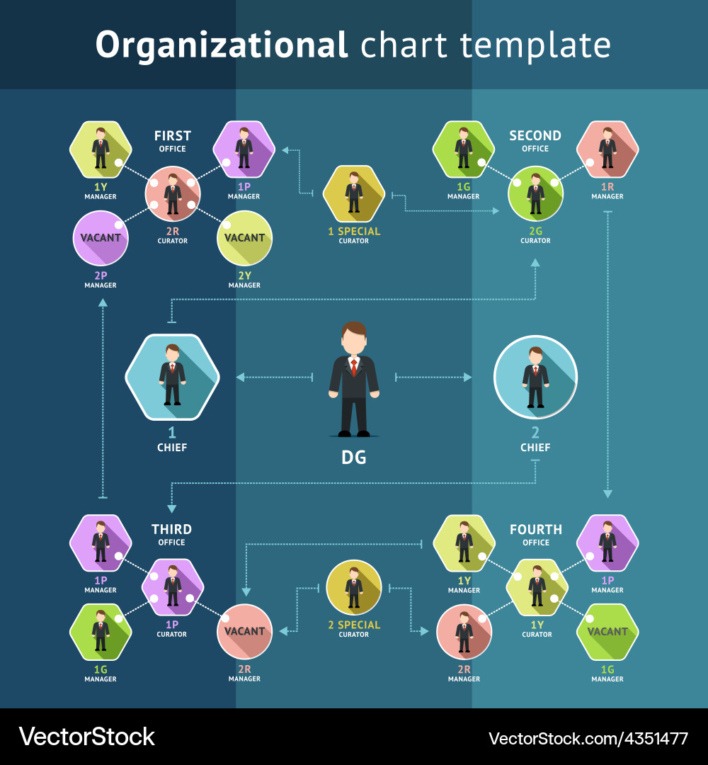Business organization structure Royalty Free Vector Image