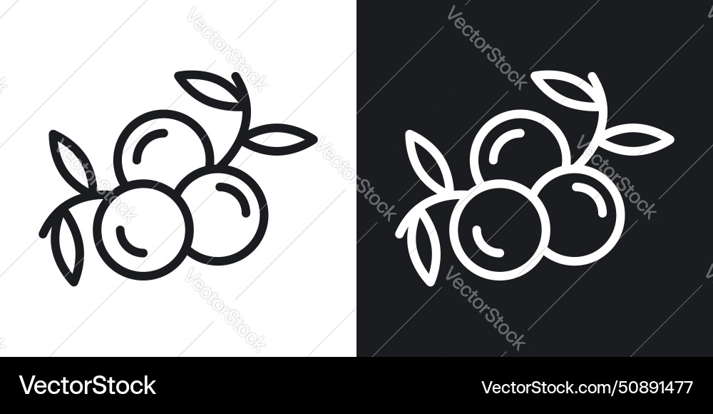 Juniper icon set berry gin blueberry symbol Vector Image