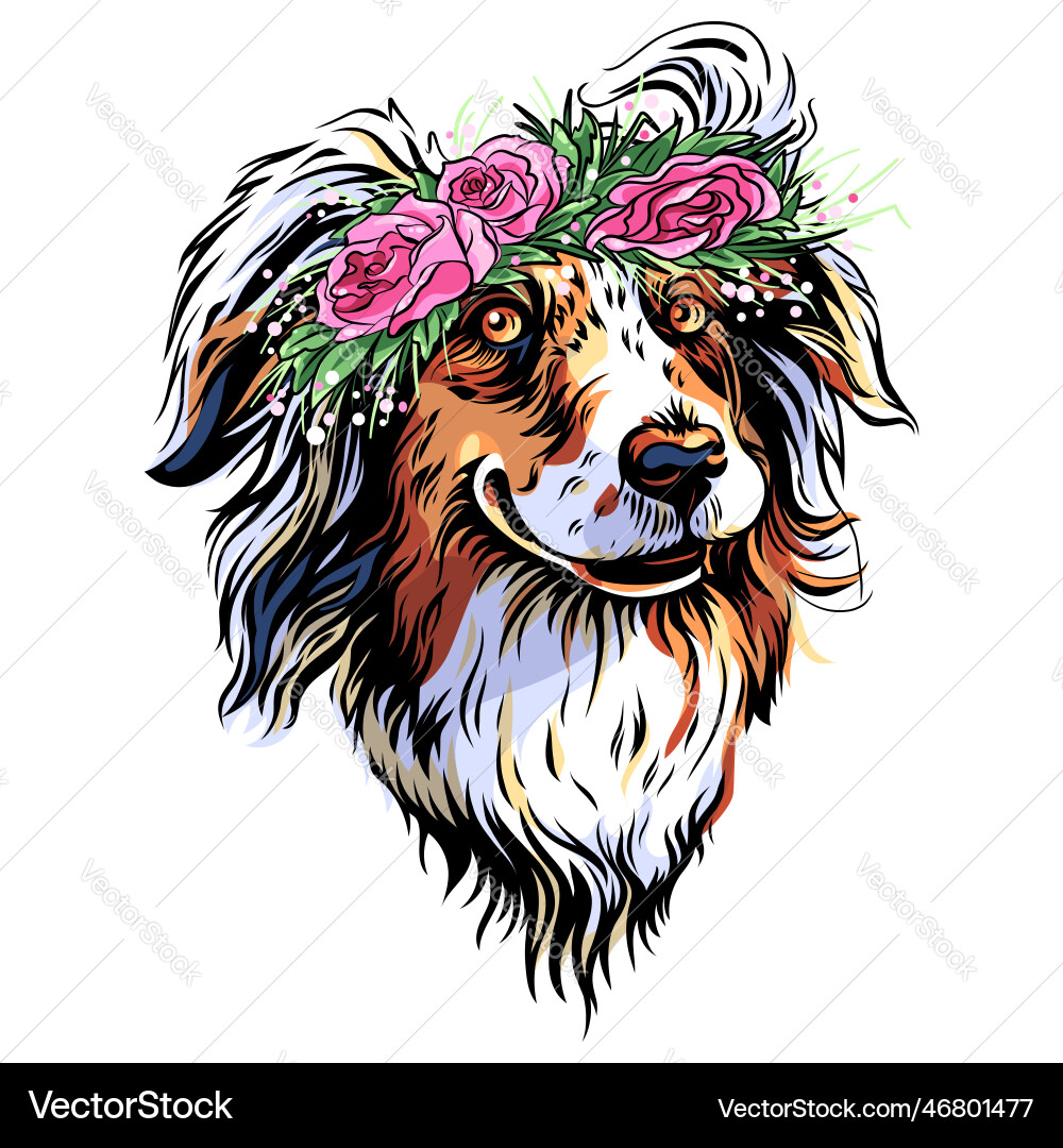 Red Australian Shepherd in Flower Wreath Vector Image