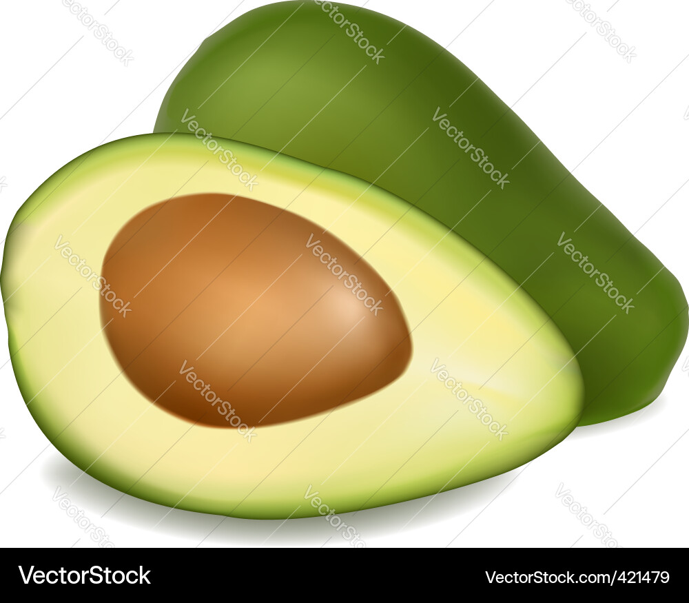 Avocado Royalty Free Vector Image - VectorStock