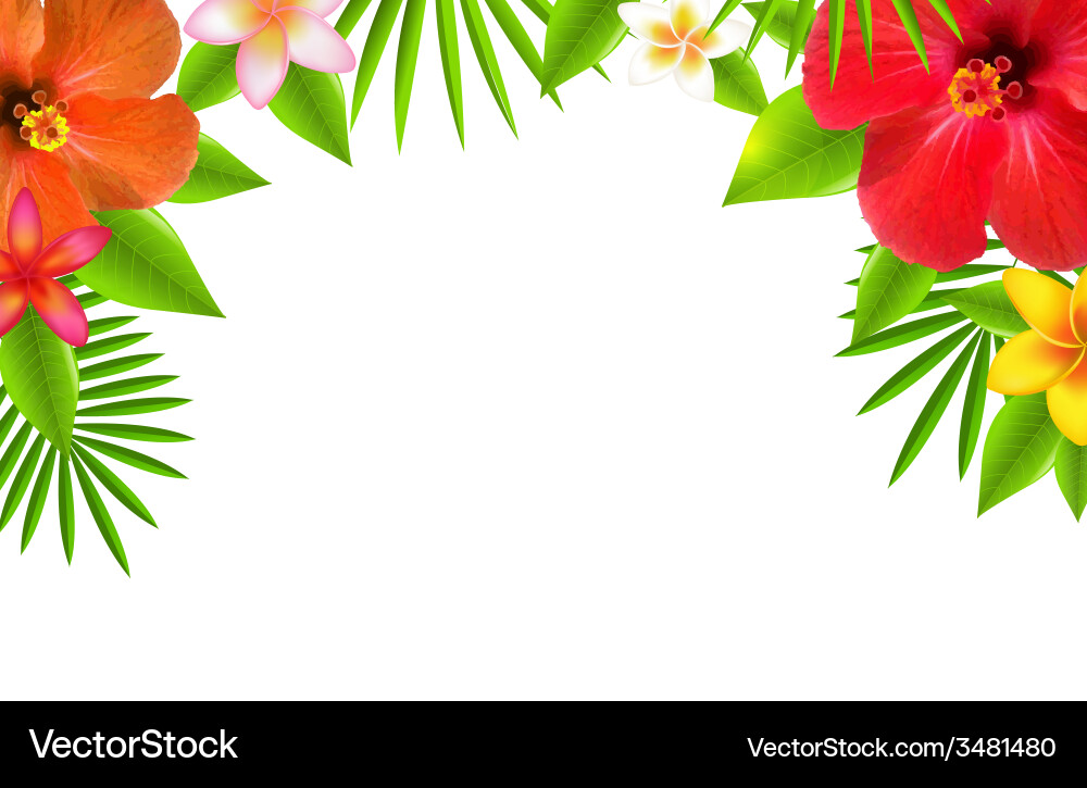 Tropical Floral Border Design Border Template With Tropical Flowers