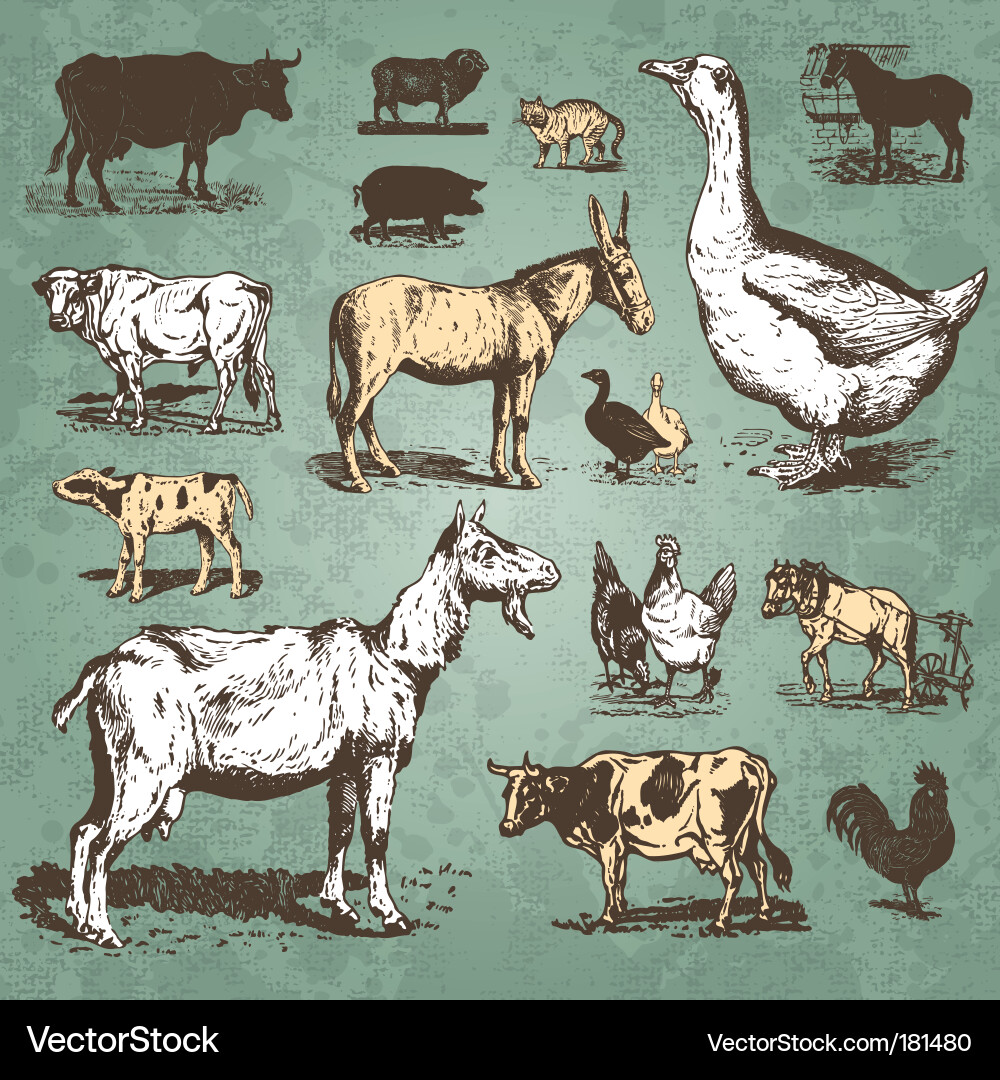 Vintage Farm Animal Collection Royalty Free Vector Image
