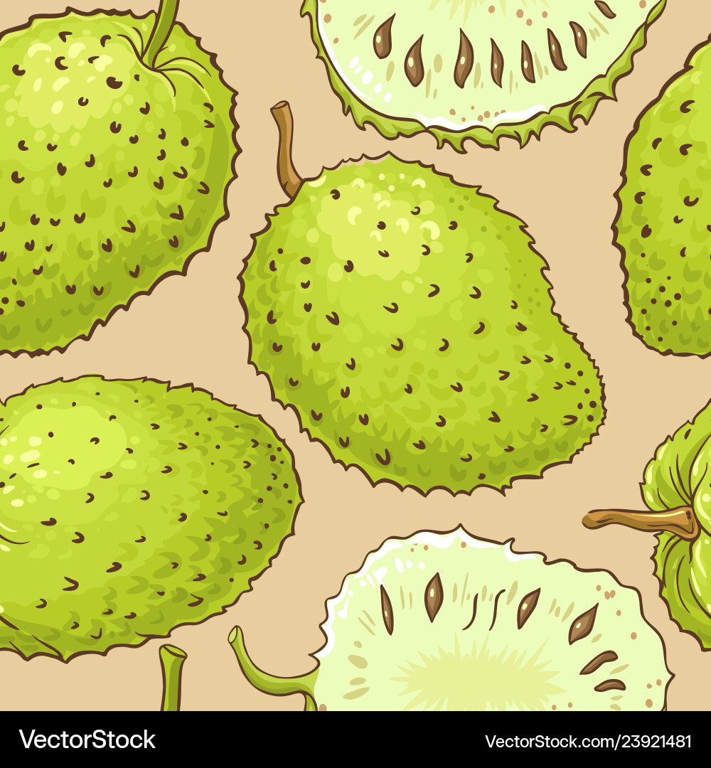 Soursop fruits pattern on color background Vector Image