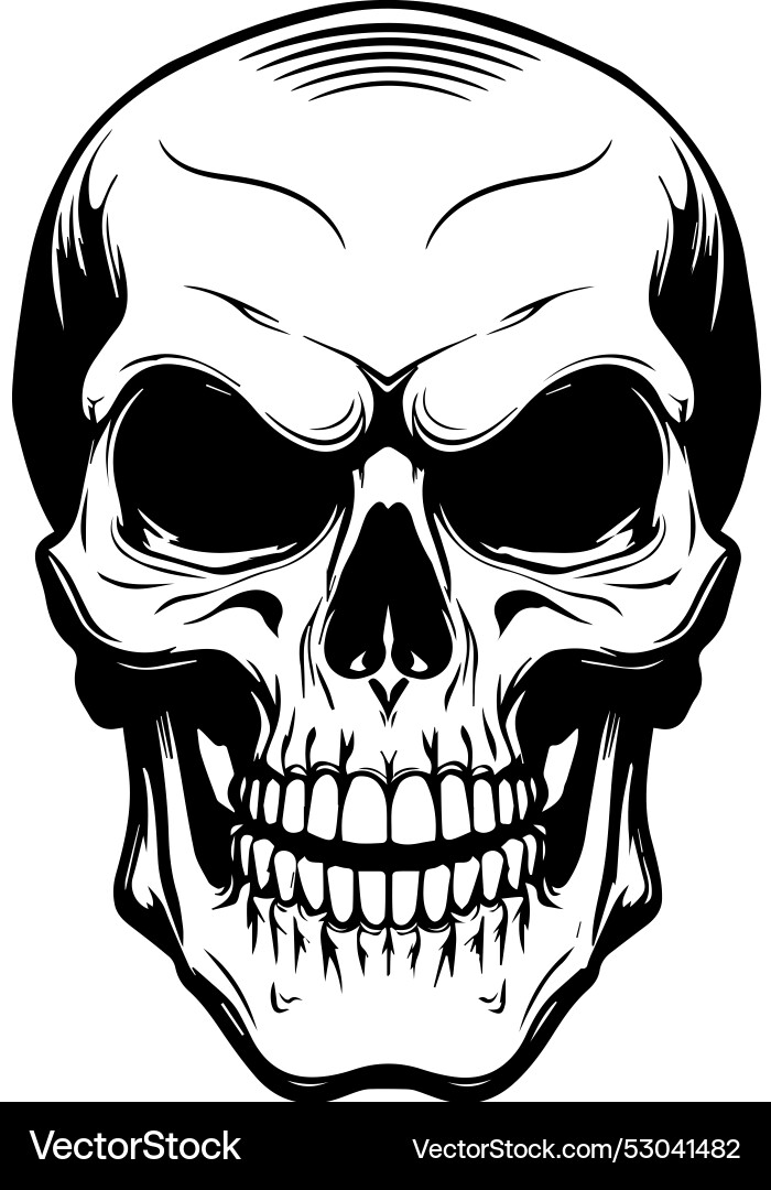 A skull design Royalty Free Vector Image - VectorStock