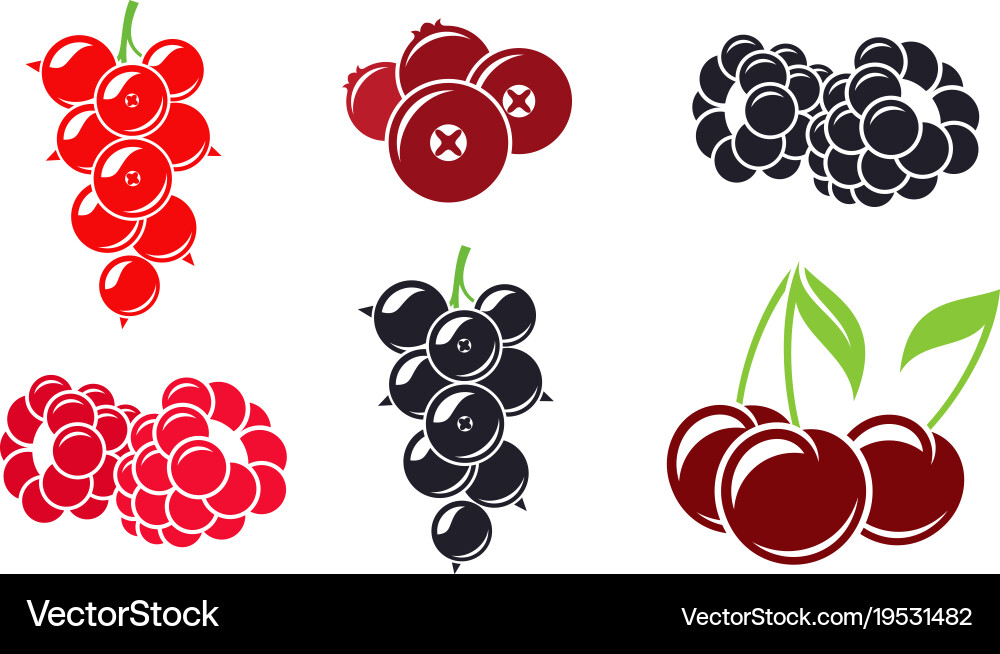 Collection of Fresh Berries Royalty Free Vector Image