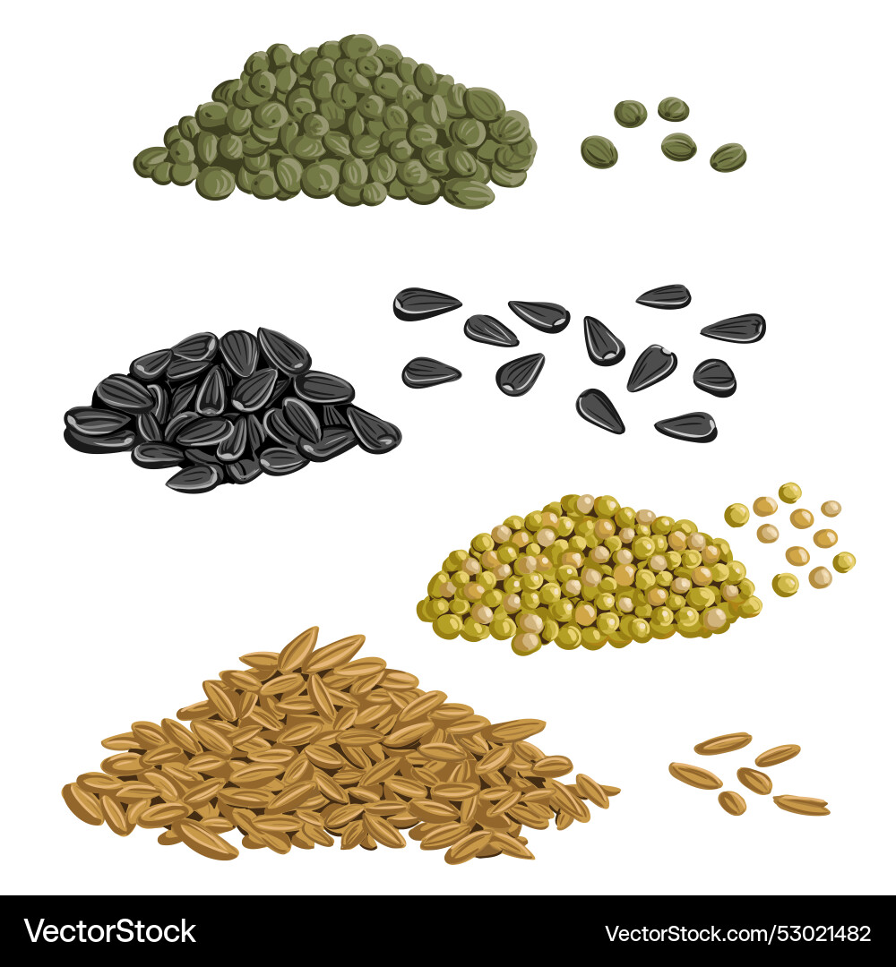 Drawing wheat and sunflower seeds Royalty Free Vector Image