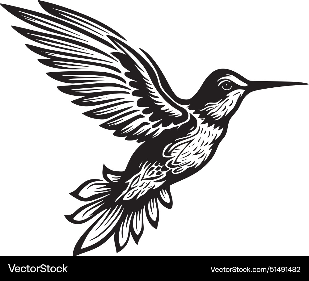 Hummingbird - high quality logo ideal Royalty Free Vector