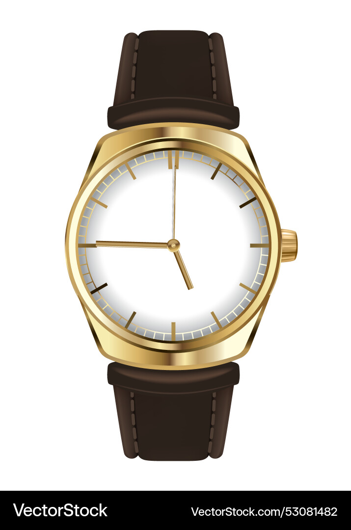 Mechanical watch in classic design realistic Vector Image