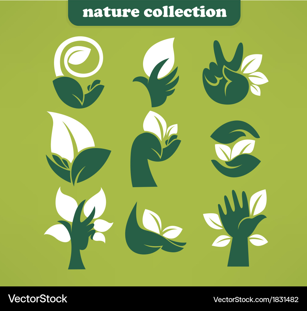 Nature symbols Royalty Free Vector Image - VectorStock