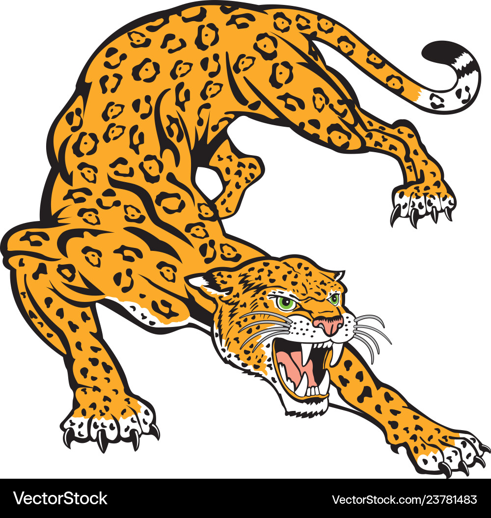 Jaguar logo mascot Royalty Free Vector Image - VectorStock