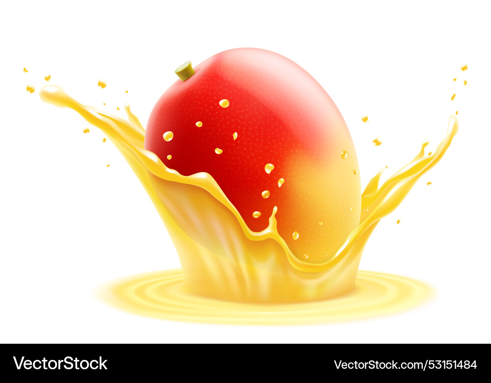 Fresh ripe exotic mango falls into a splash Vector Image