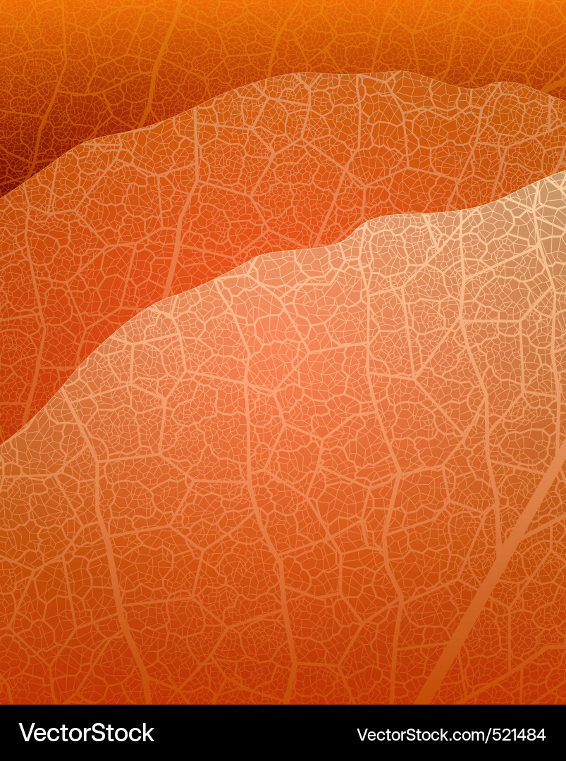 Nature theme background Royalty Free Vector Image