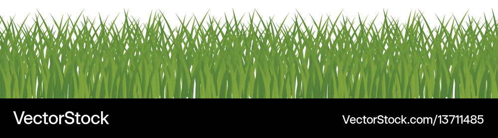 Cartoon grass Royalty Free Vector Image - VectorStock