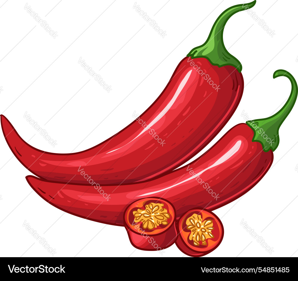 Chilli pepper whole and cut Royalty Free Vector Image