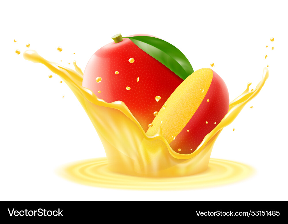 Fresh ripe exotic mango falls into a splash Vector Image