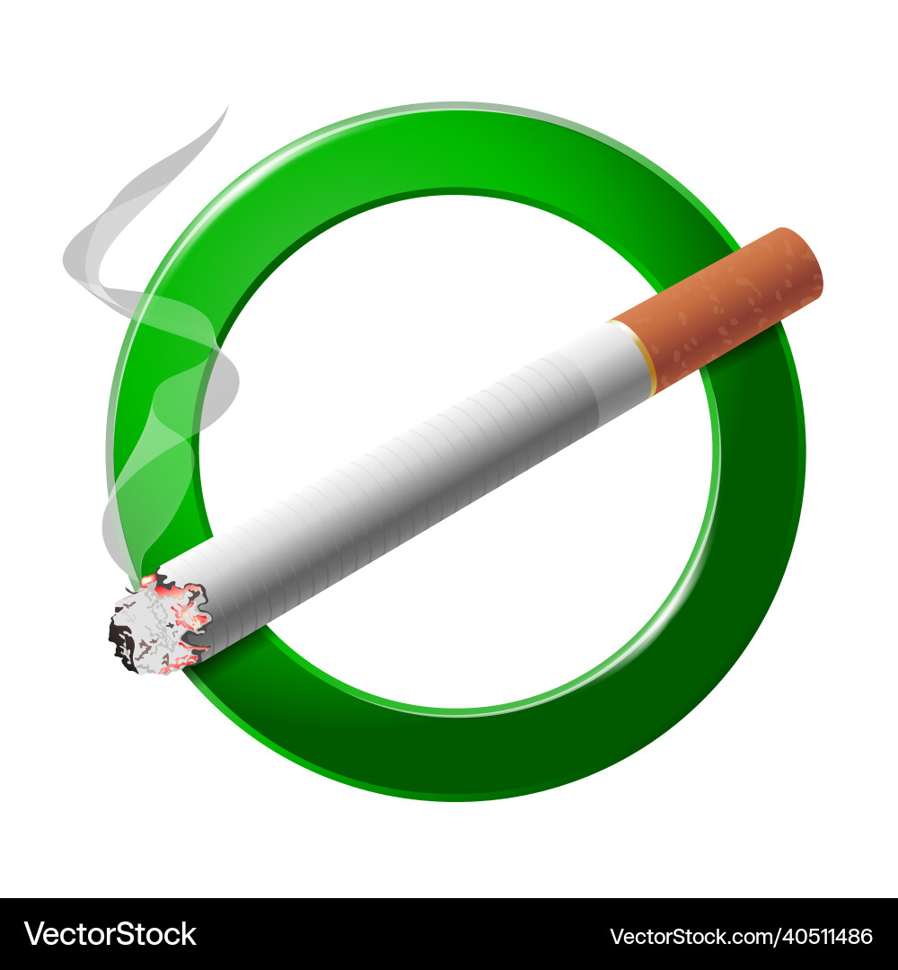 Smoking area symbol with realistic cigarette Vector Image