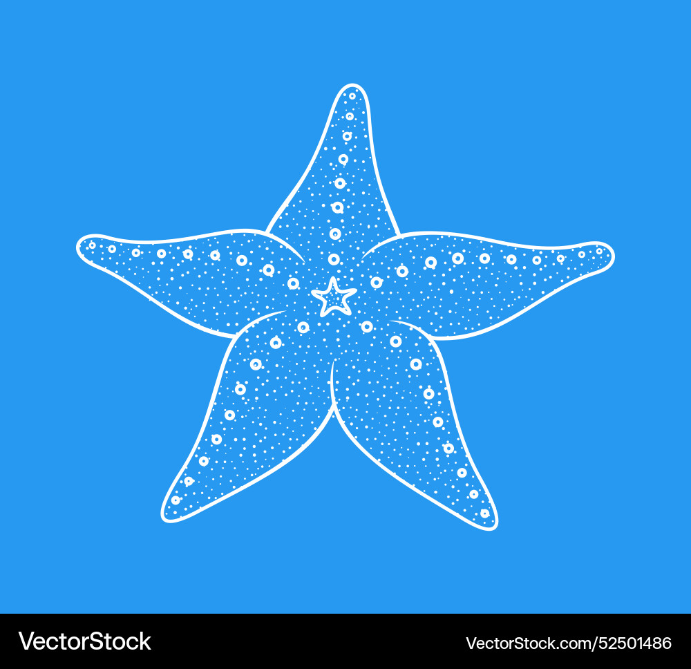 Star fish Royalty Free Vector Image - VectorStock