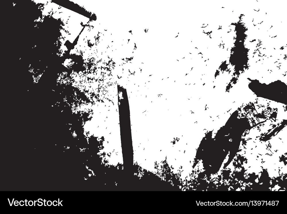 Black and white texture Royalty Free Vector Image