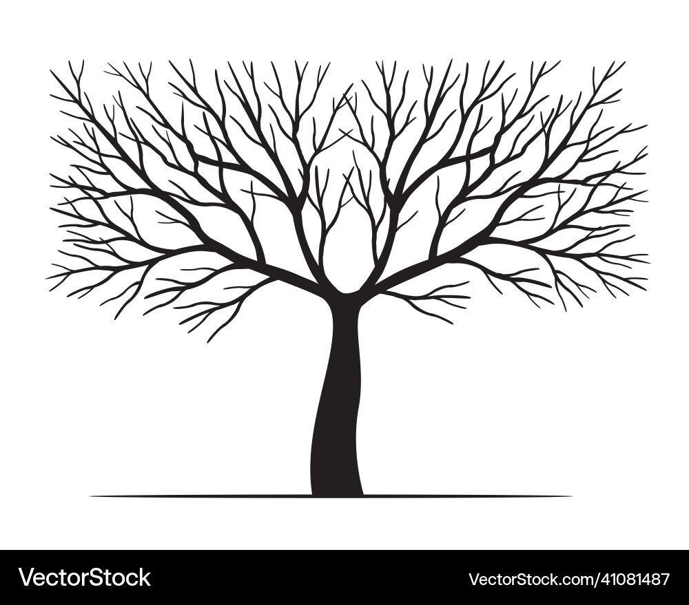 Black tree outline plant in garden Royalty Free Vector Image