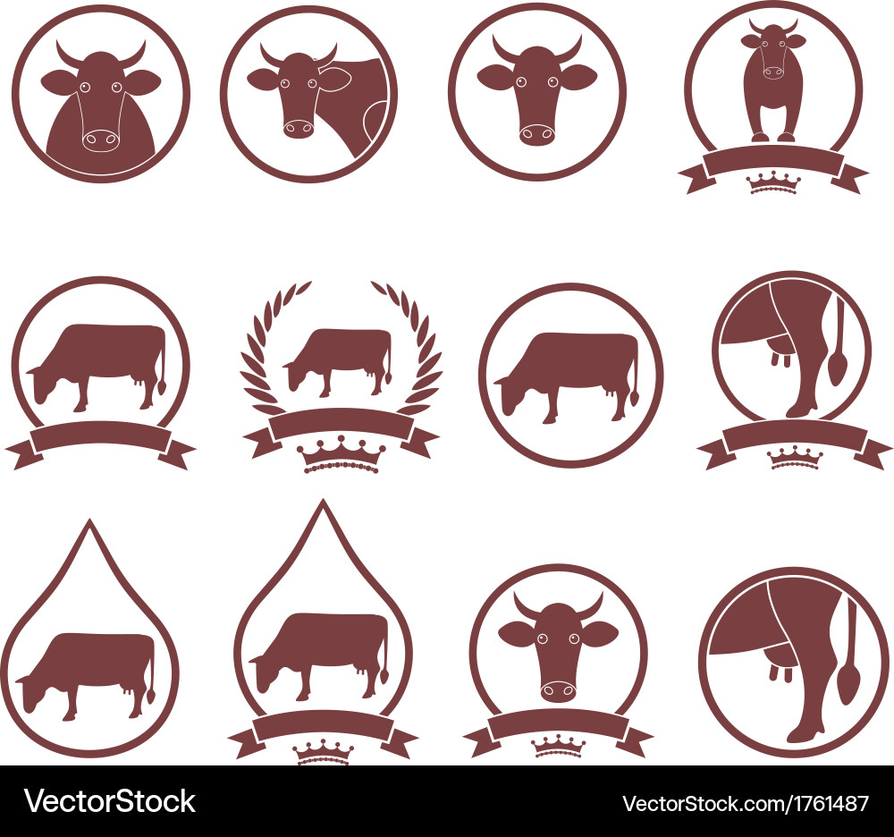 Cow Royalty Free Vector Image - VectorStock